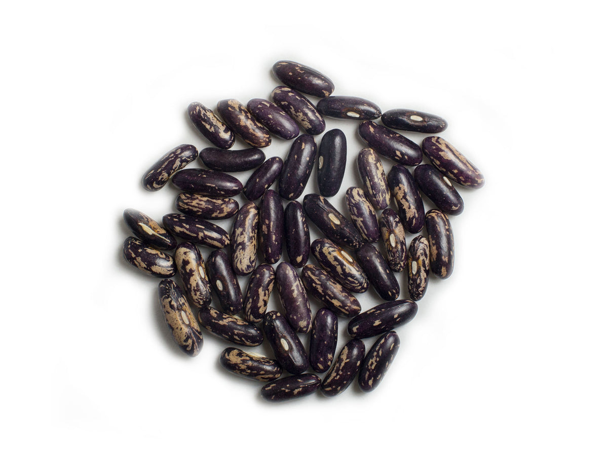 Filet Bean (Bush) - Aramis – Prairie Garden Seeds