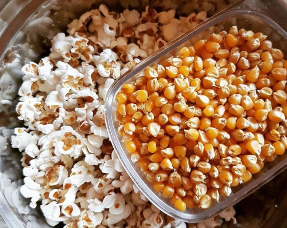 Popcorn - Tom Thumb – Prairie Garden Seeds