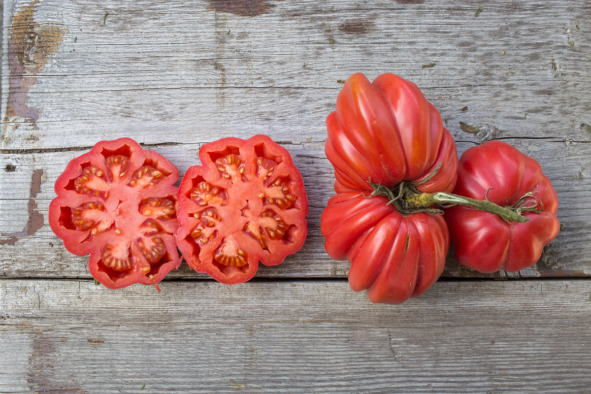 Zapotec Pink Ribbed – Prairie Garden Seeds